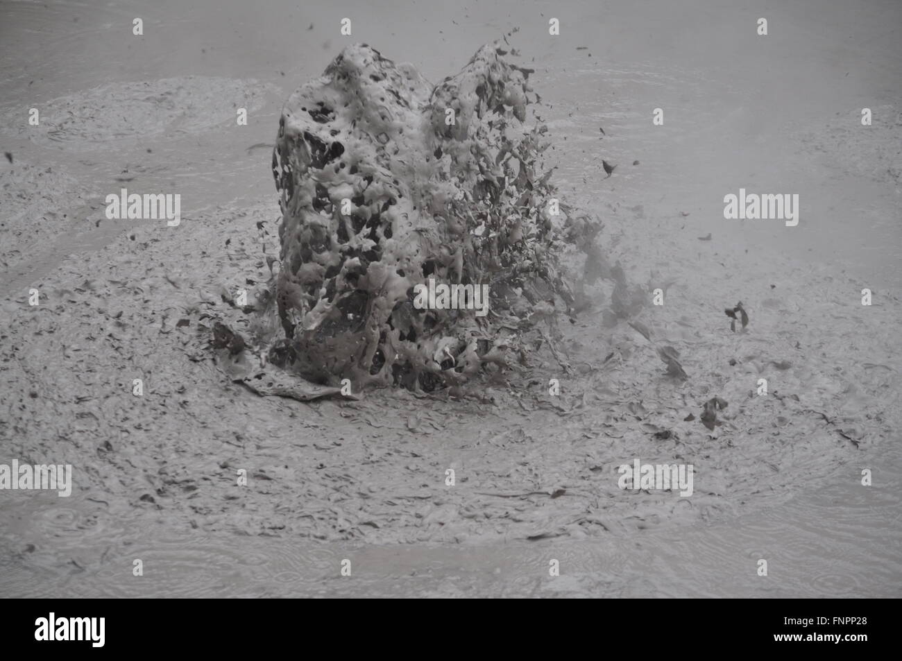 Boiling Mud in Rotorua, New Zealand Stock Photo - Alamy