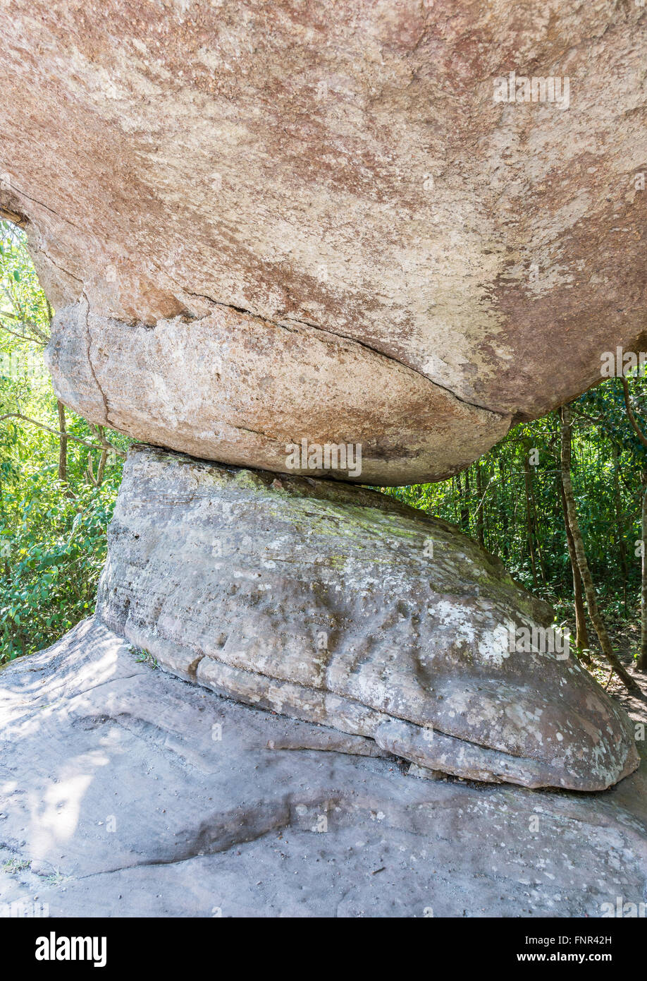 Large sandstone stack in the forest of the national park Stock Photo ...