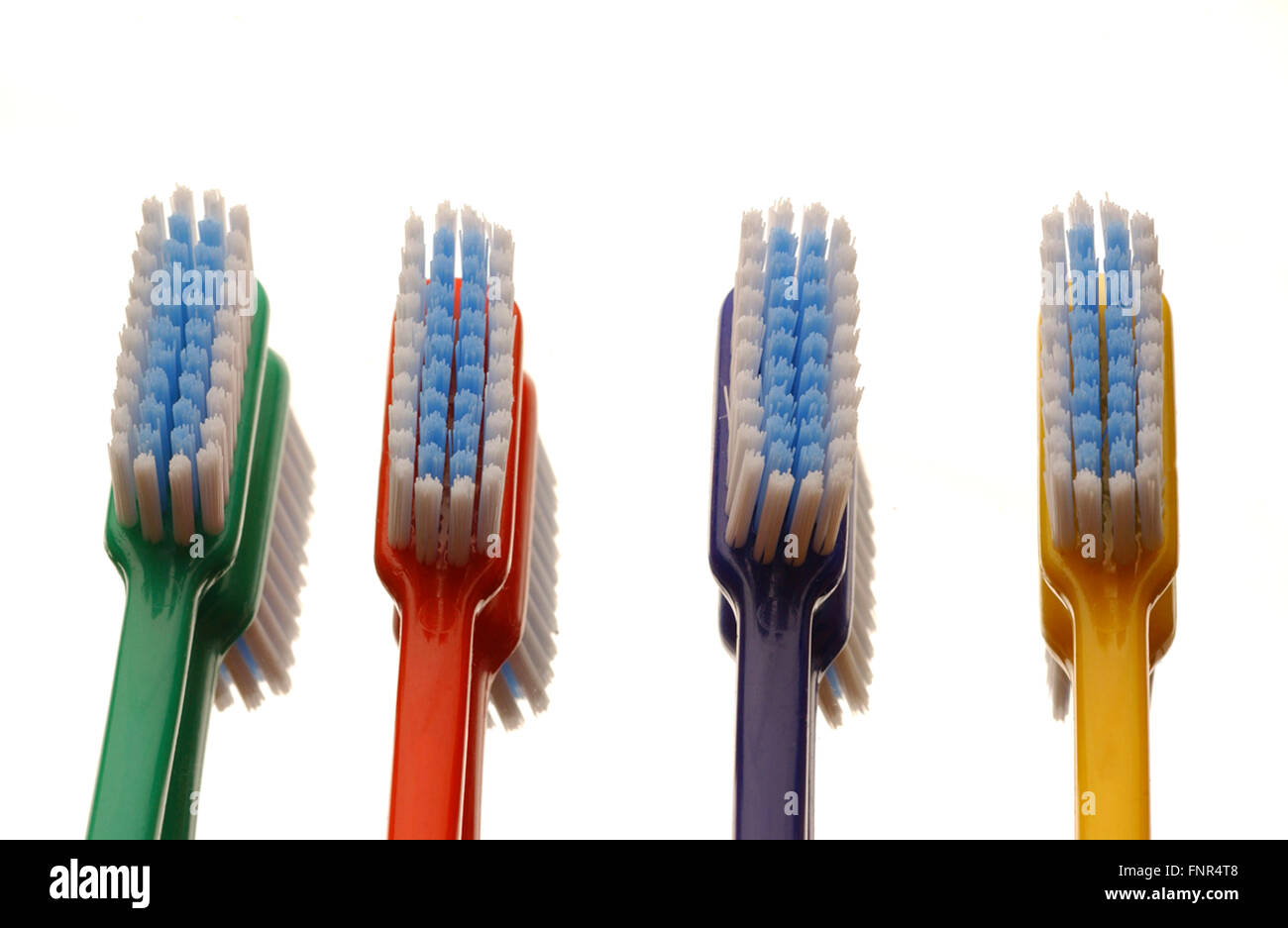 Multi colored toothbrush heads Stock Photo - Alamy