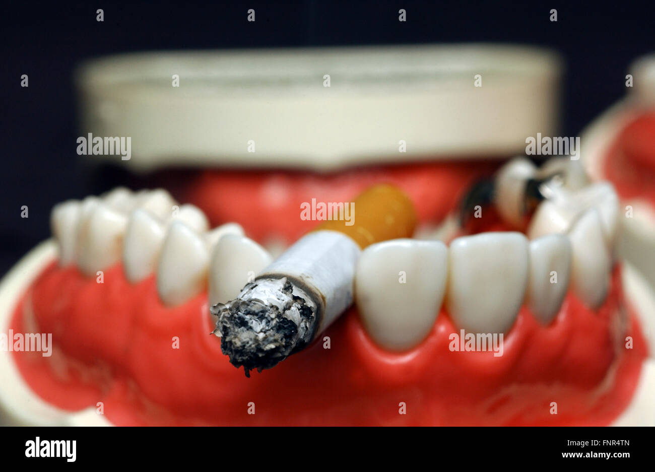 Bottom teeth hi-res stock photography and images - Alamy