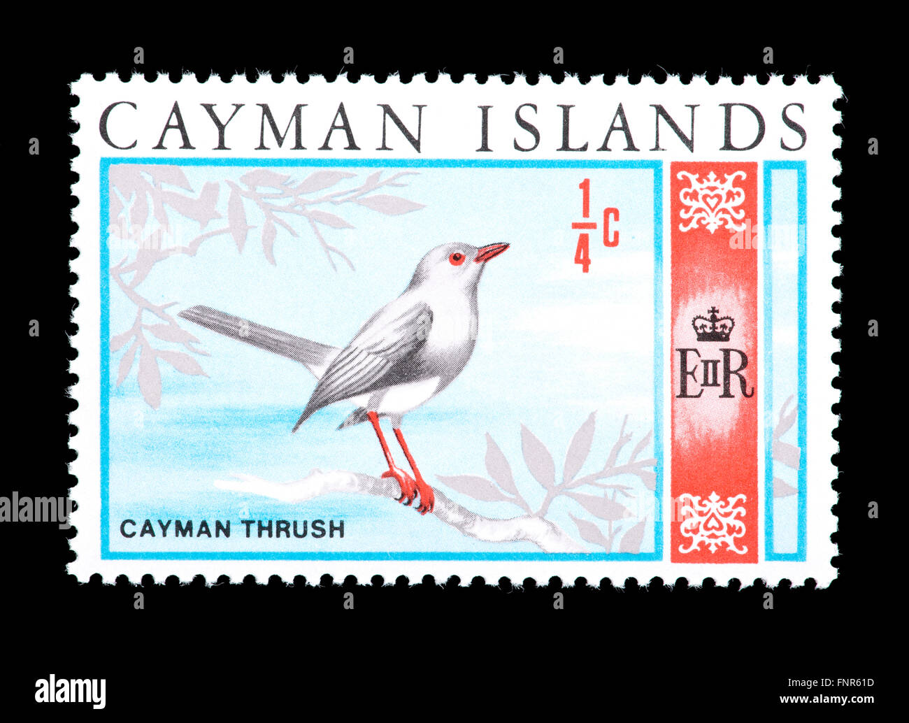 Postage stamp from the Caman Islands depicting a Grand Cayman thrush ...