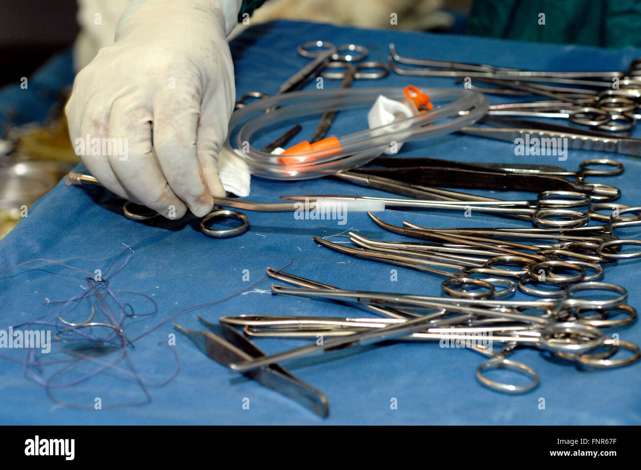 A Surgeon picks up surgical equipment from surgical table Stock Photo ...