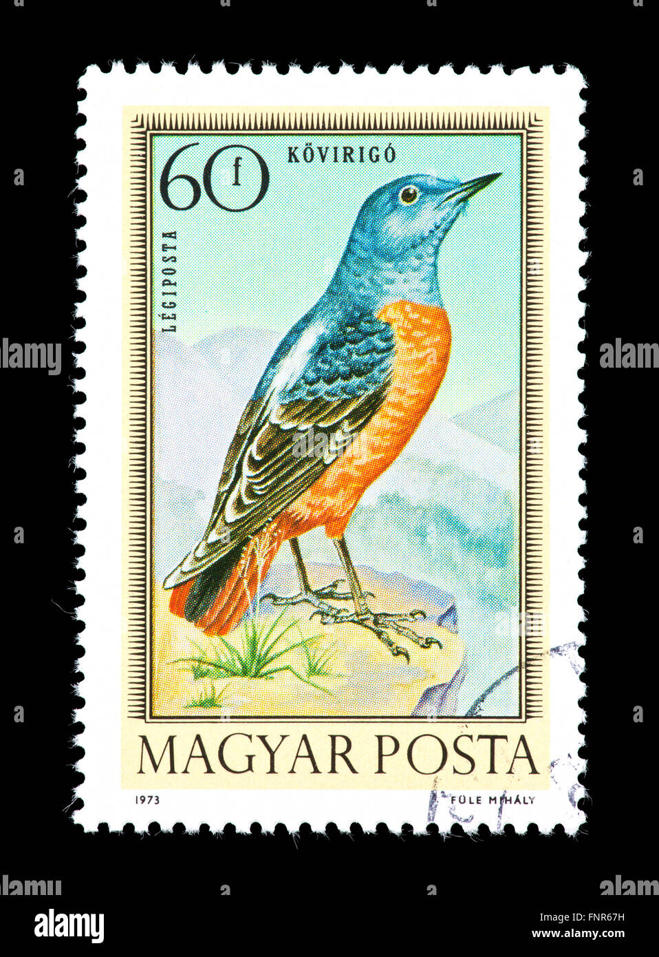 Postage stamp from Hungary depicting a rock thrush Stock Photo - Alamy