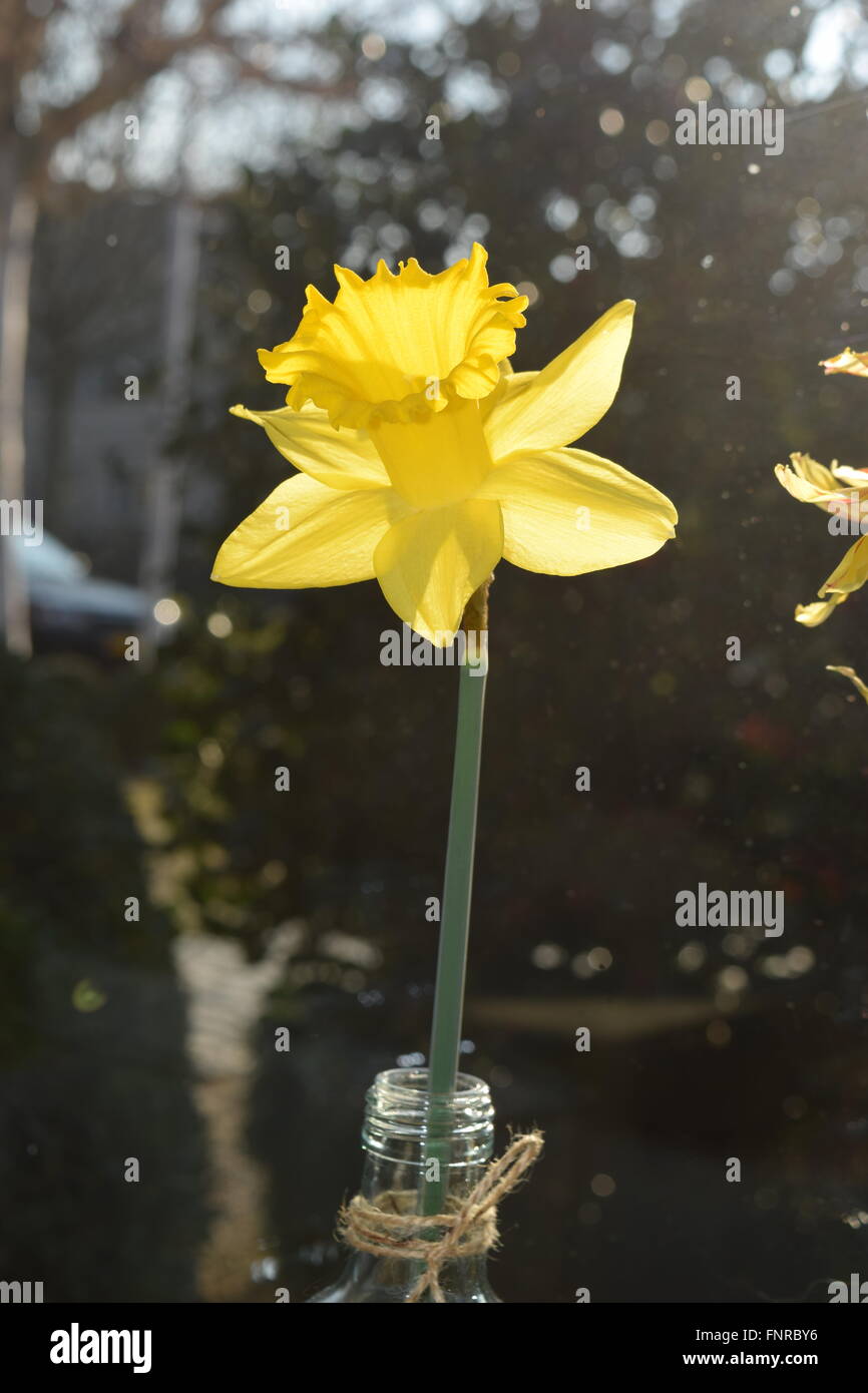 Spring around the corner hi-res stock photography and images - Alamy