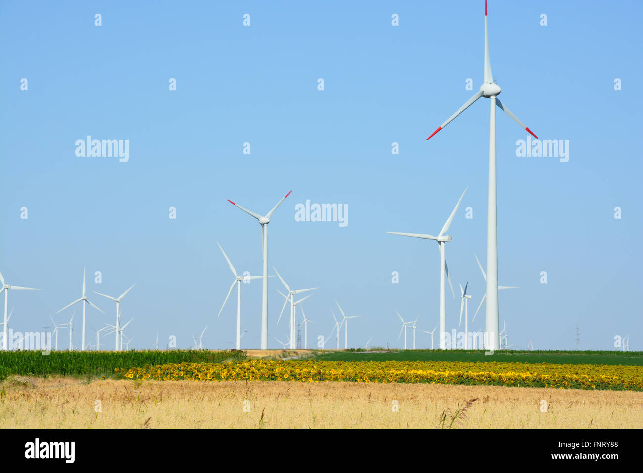 Wind turbines farm on a rural background Stock Photo - Alamy