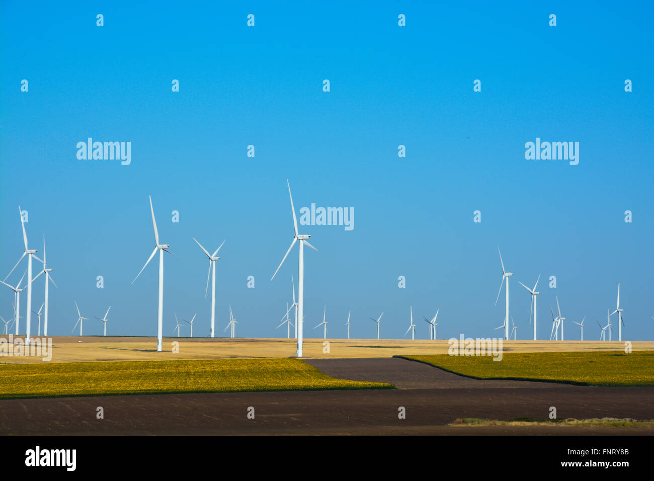 Wind turbines farm on a rural background Stock Photo - Alamy