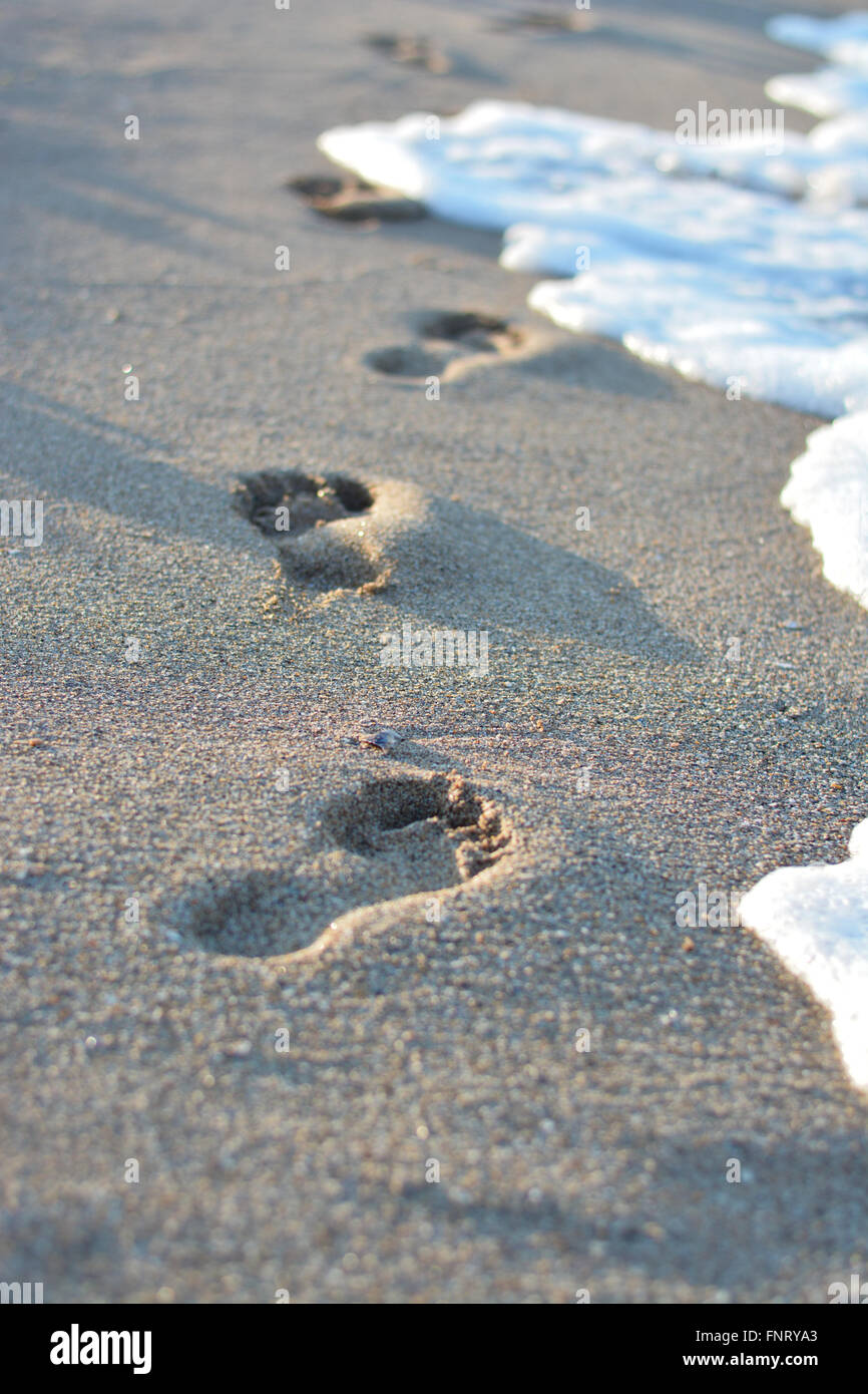Footsteps in the sands suggesting new life paths or ways Stock Photo ...