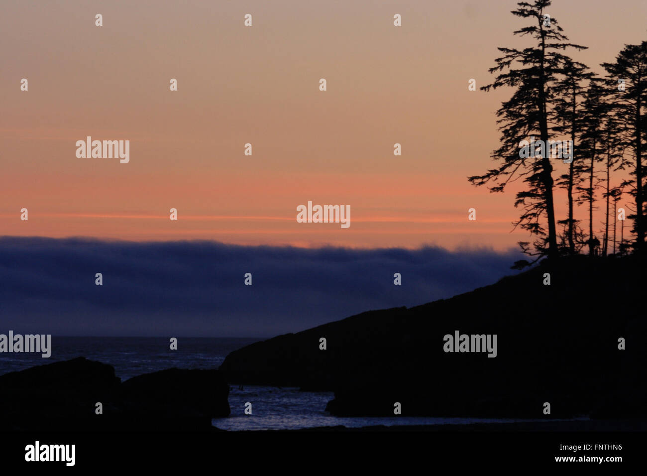 The Fog rolls in as the sun sets along Vancouver Islands West Coast ...