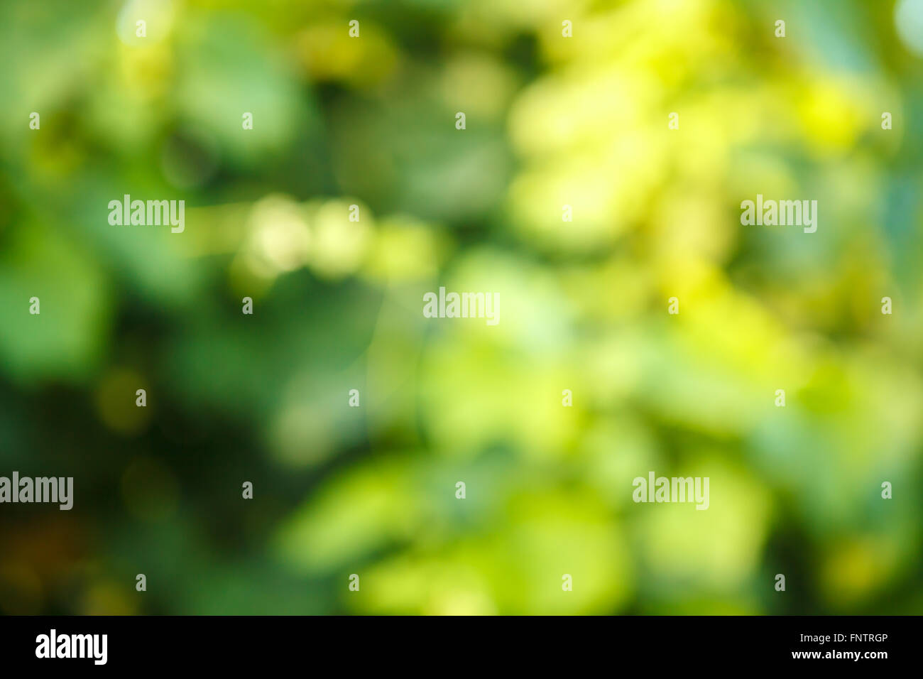 Bokeh blur abstract background hi-res stock photography and images - Alamy