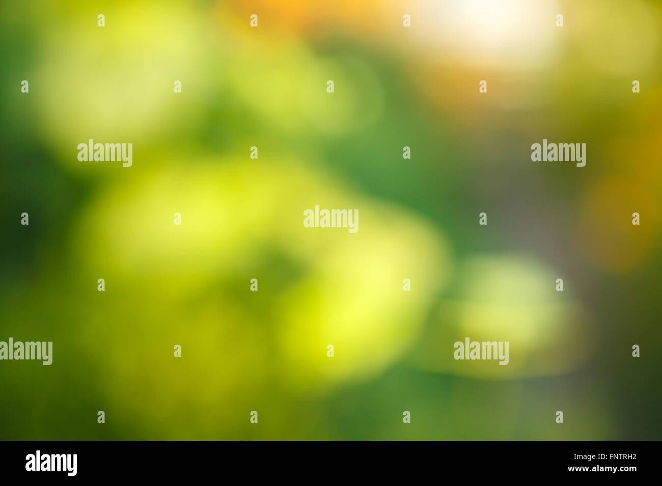 park alley bokeh background good for backdrops real lens blur Stock ...