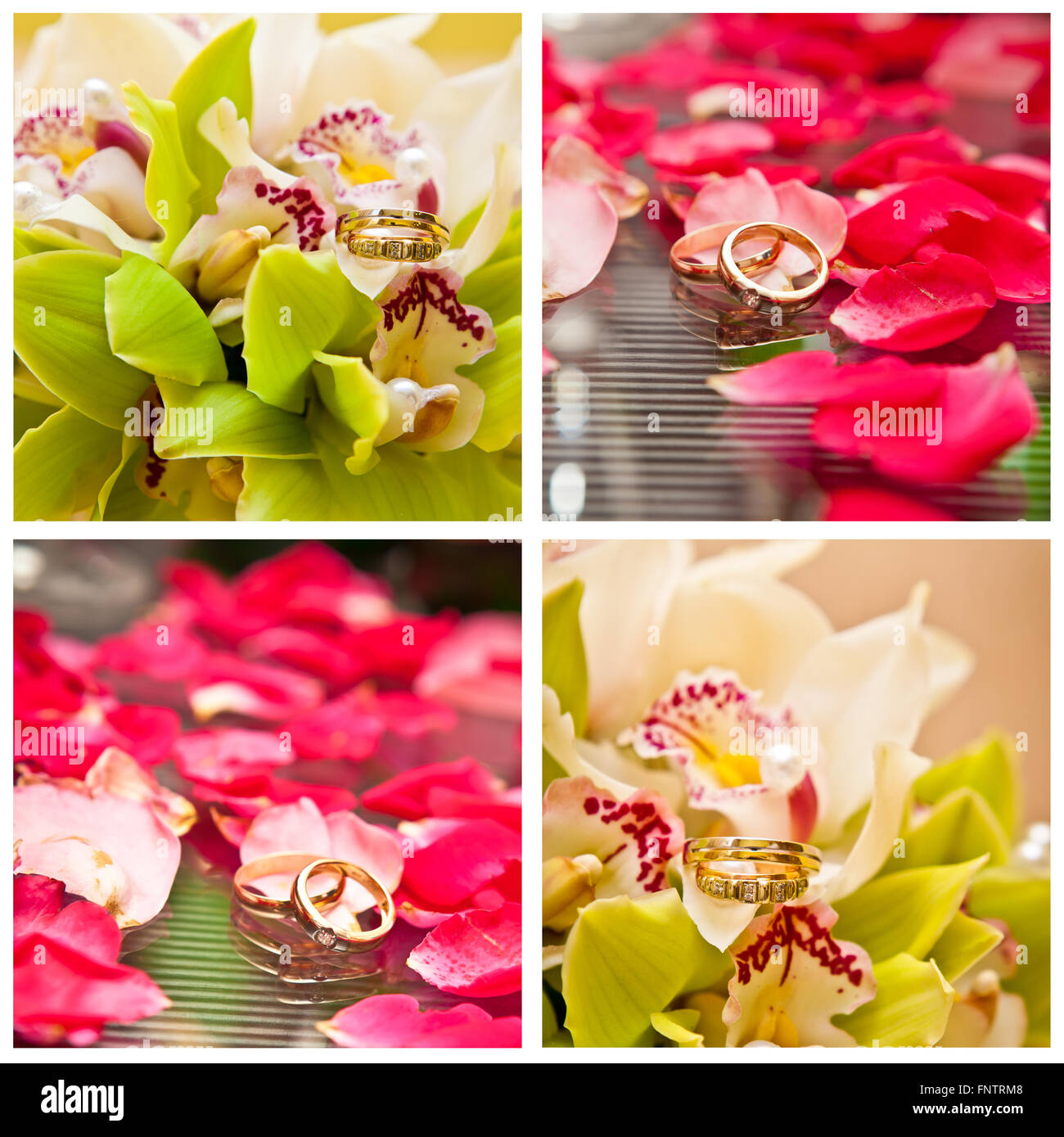 wedding rings on colors; collage Stock Photo - Alamy