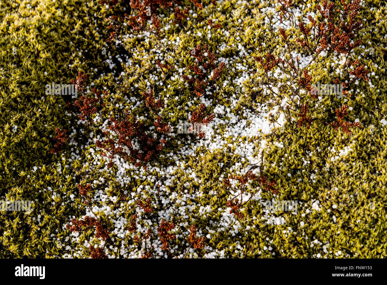 Hail stones hi-res stock photography and images - Alamy