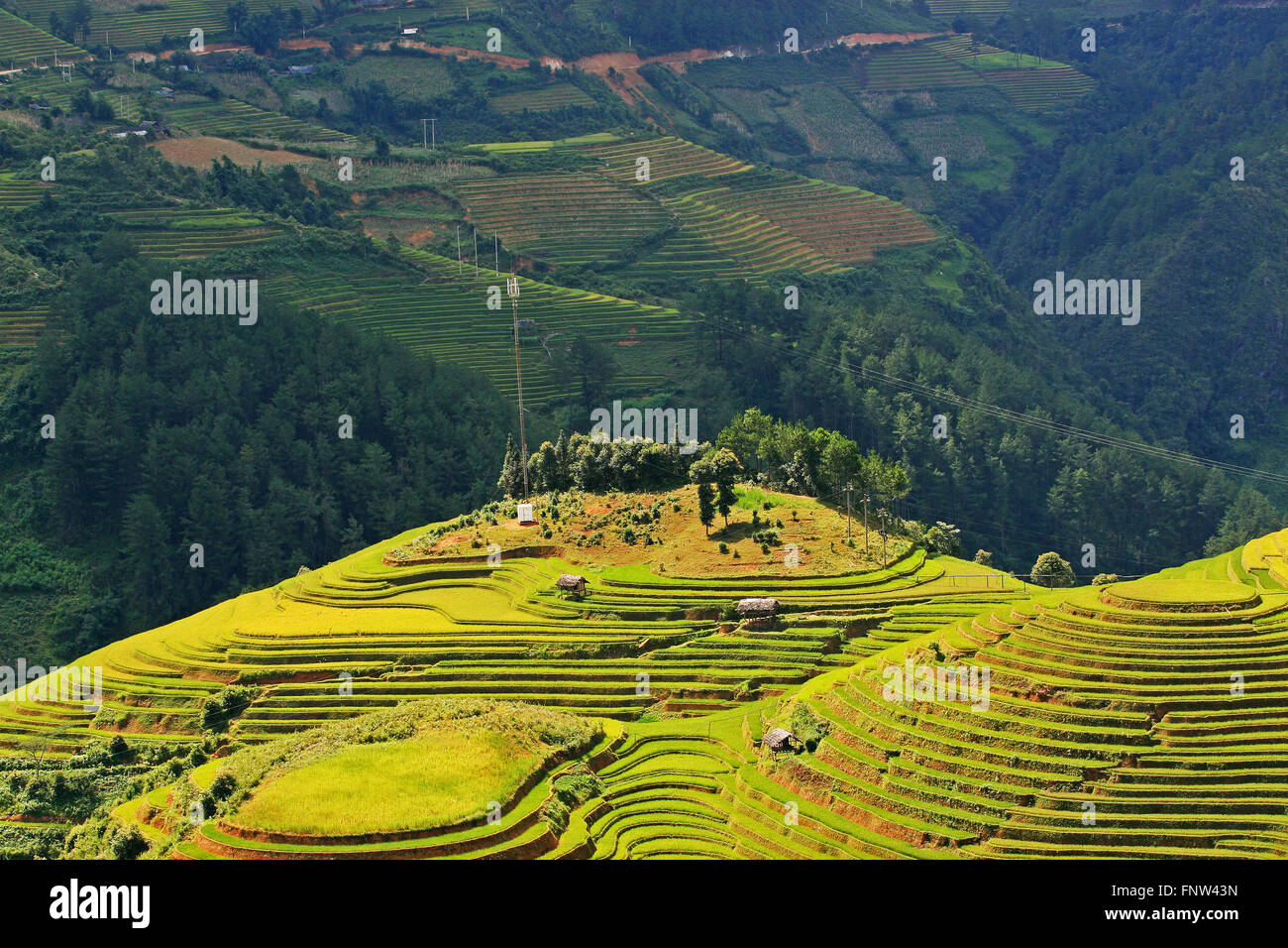 Typical image of an Asian village landscape in a rural area with paddy ...