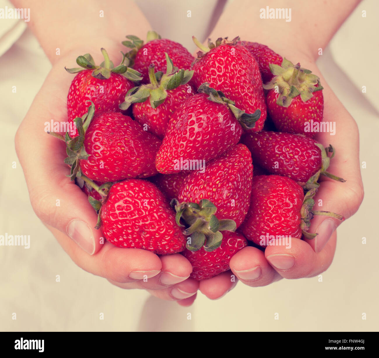 Strawberries in female hands Stock Photo - Alamy