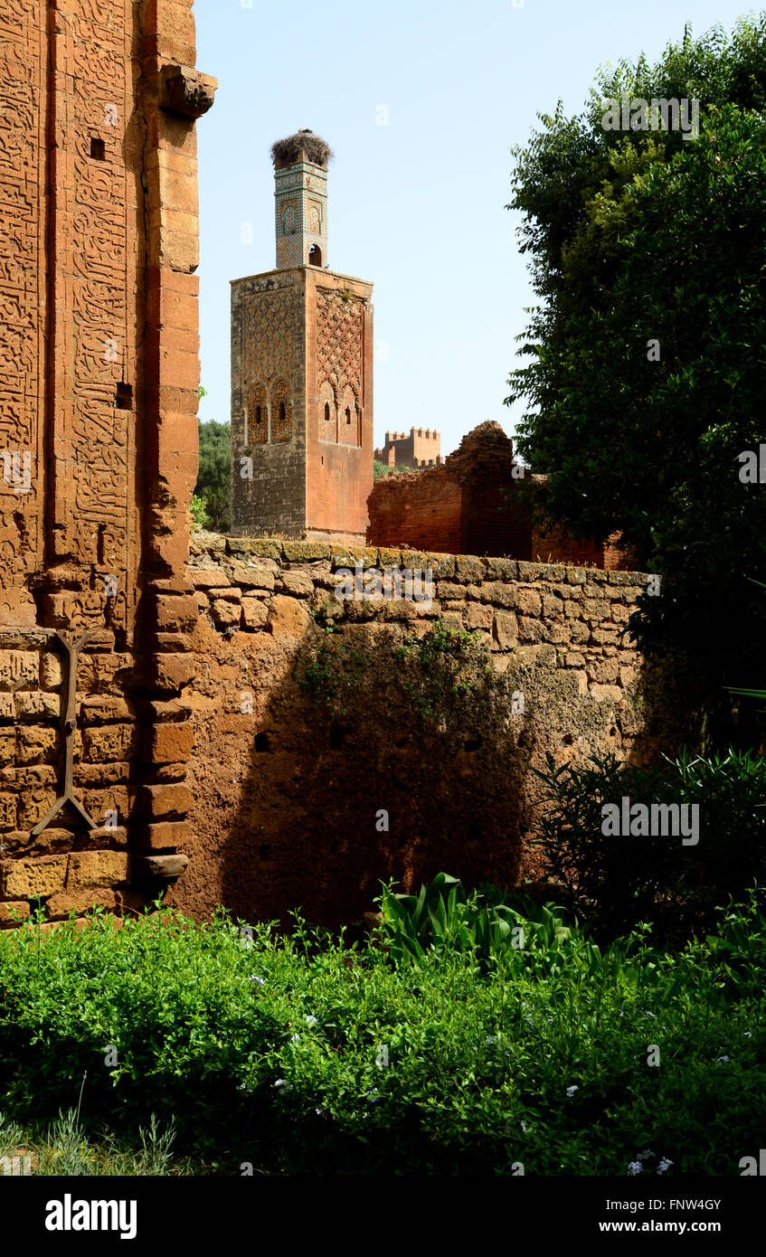 Chellah and morocco hi-res stock photography and images - Alamy