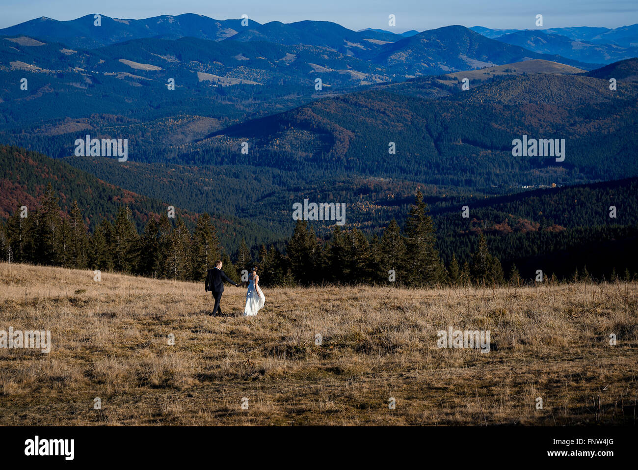 Wedding couple walking on the field. Fascinating mountain landscape ...