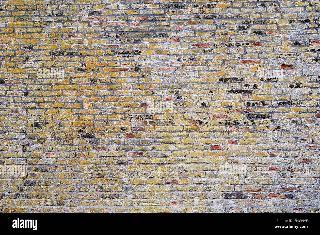 Bricks pattern hi-res stock photography and images - Alamy