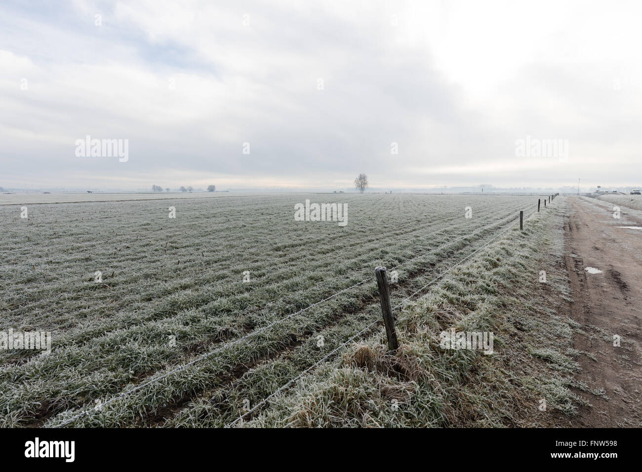 Cold fields hi-res stock photography and images - Alamy
