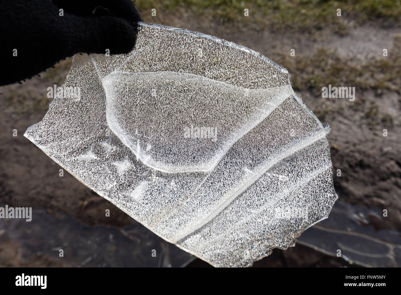 gloved hand holding ice with air bubbles Stock Photo - Alamy