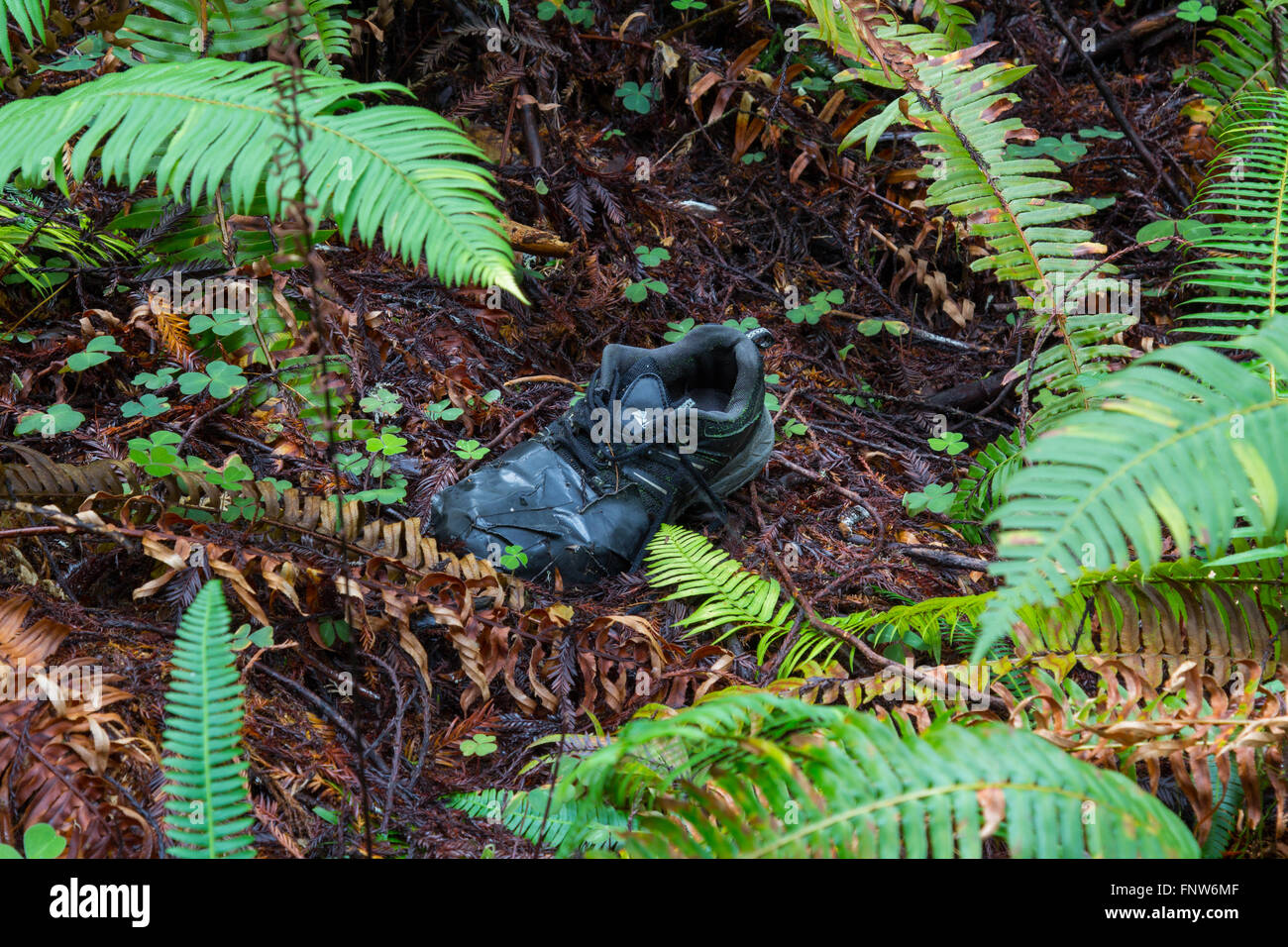 Lost shoe hi-res stock photography and images - Alamy