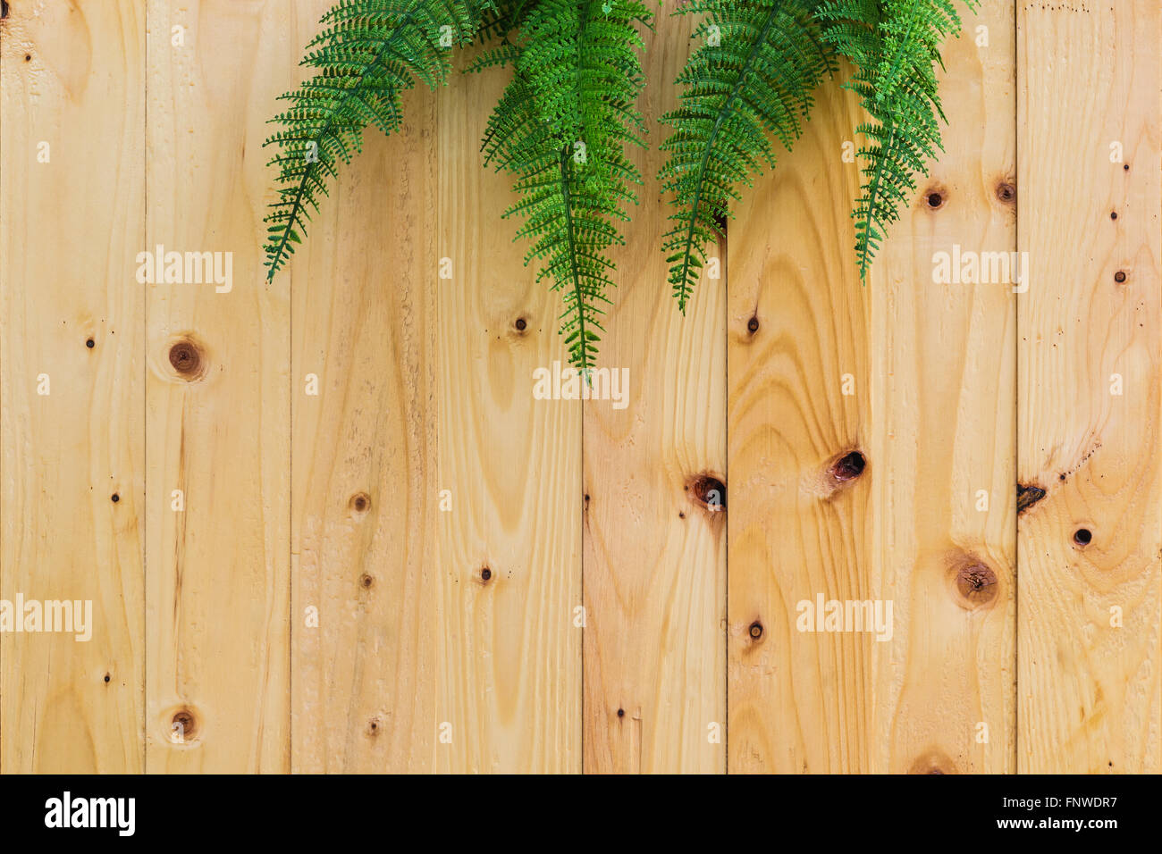 Wood green leaves hi-res stock photography and images - Alamy