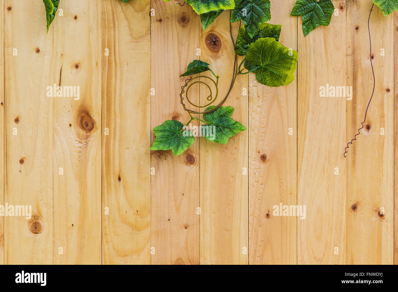 Wood green leaves hi-res stock photography and images - Alamy