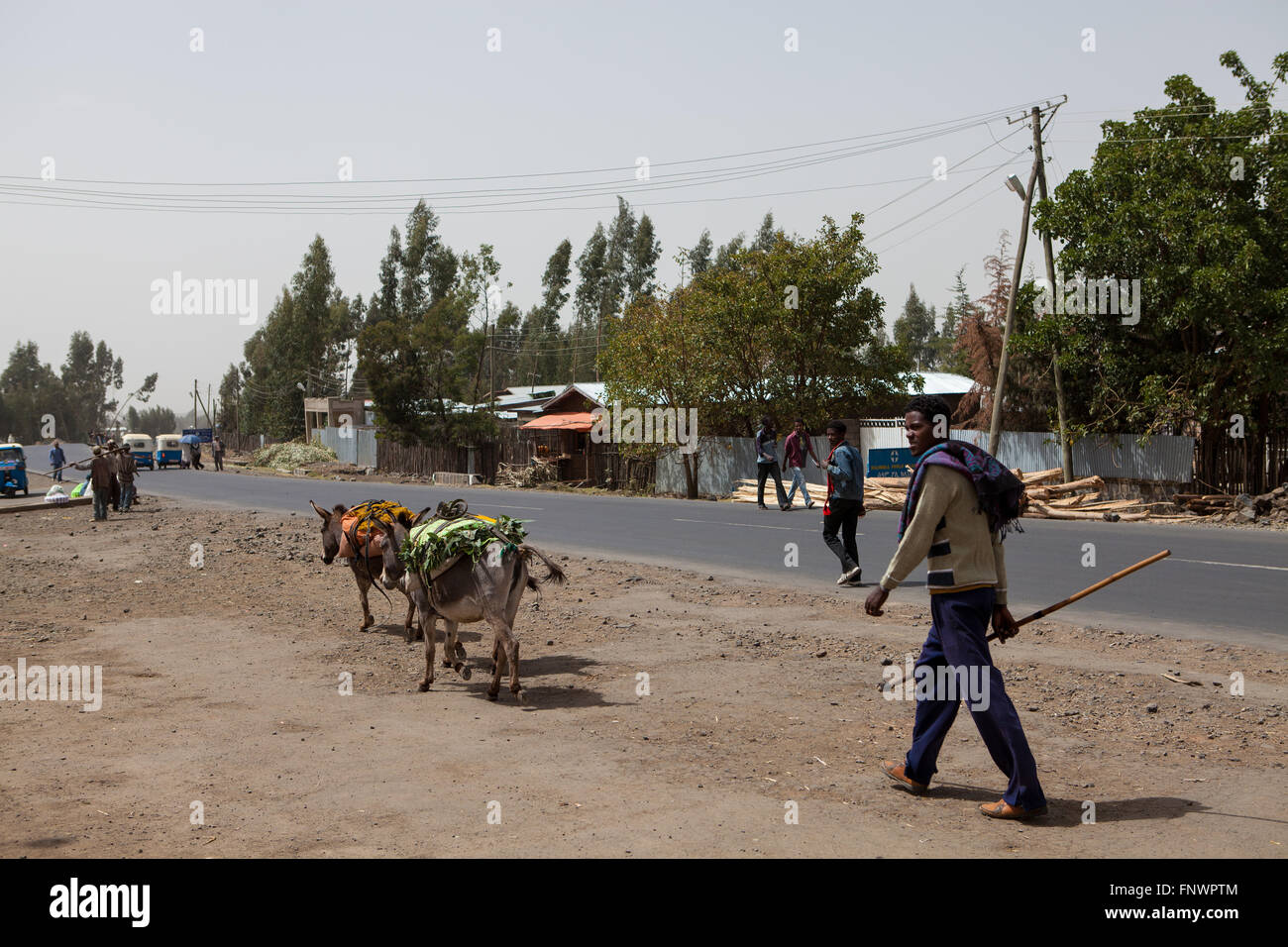 Donkey carrying goods hi-res stock photography and images - Alamy