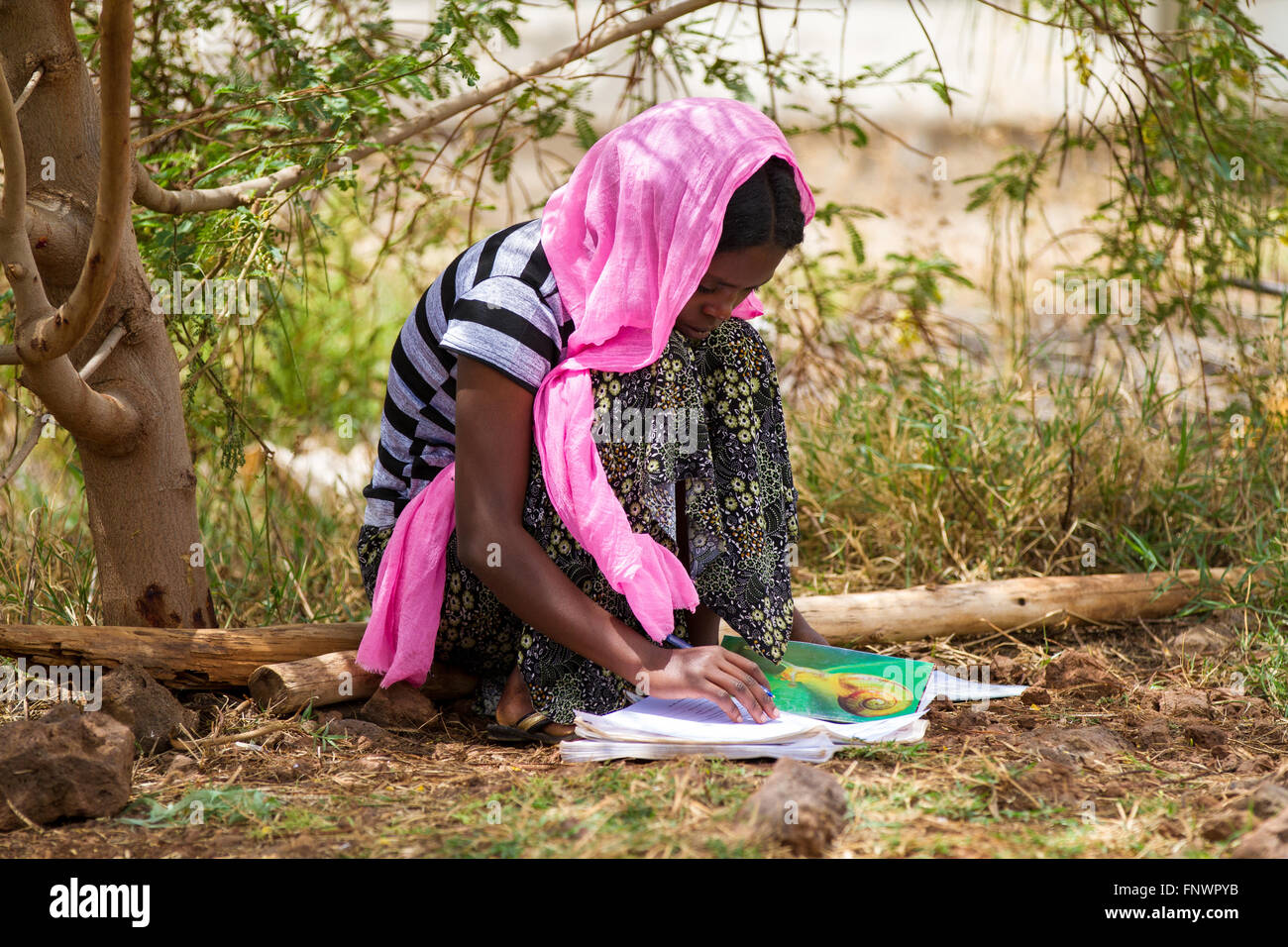 A young woman studying under a tree. She is training to be a teacher at ...
