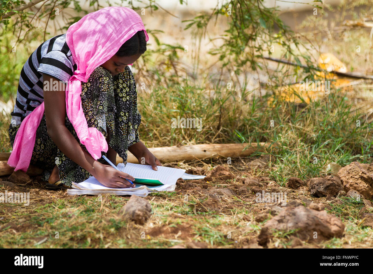Ethiopia tree hi-res stock photography and images - Alamy