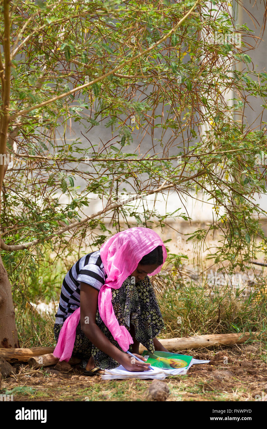 A young woman studying under a tree. She is training to be a teacher at ...