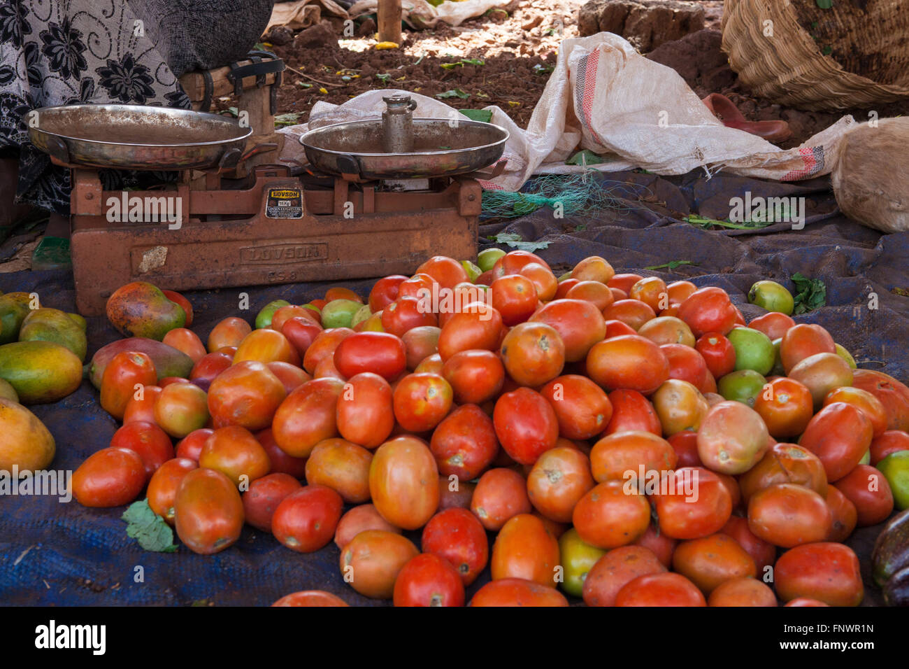 A women selling tomatoes in a market, Ethiopia Africa Stock Photo - Alamy