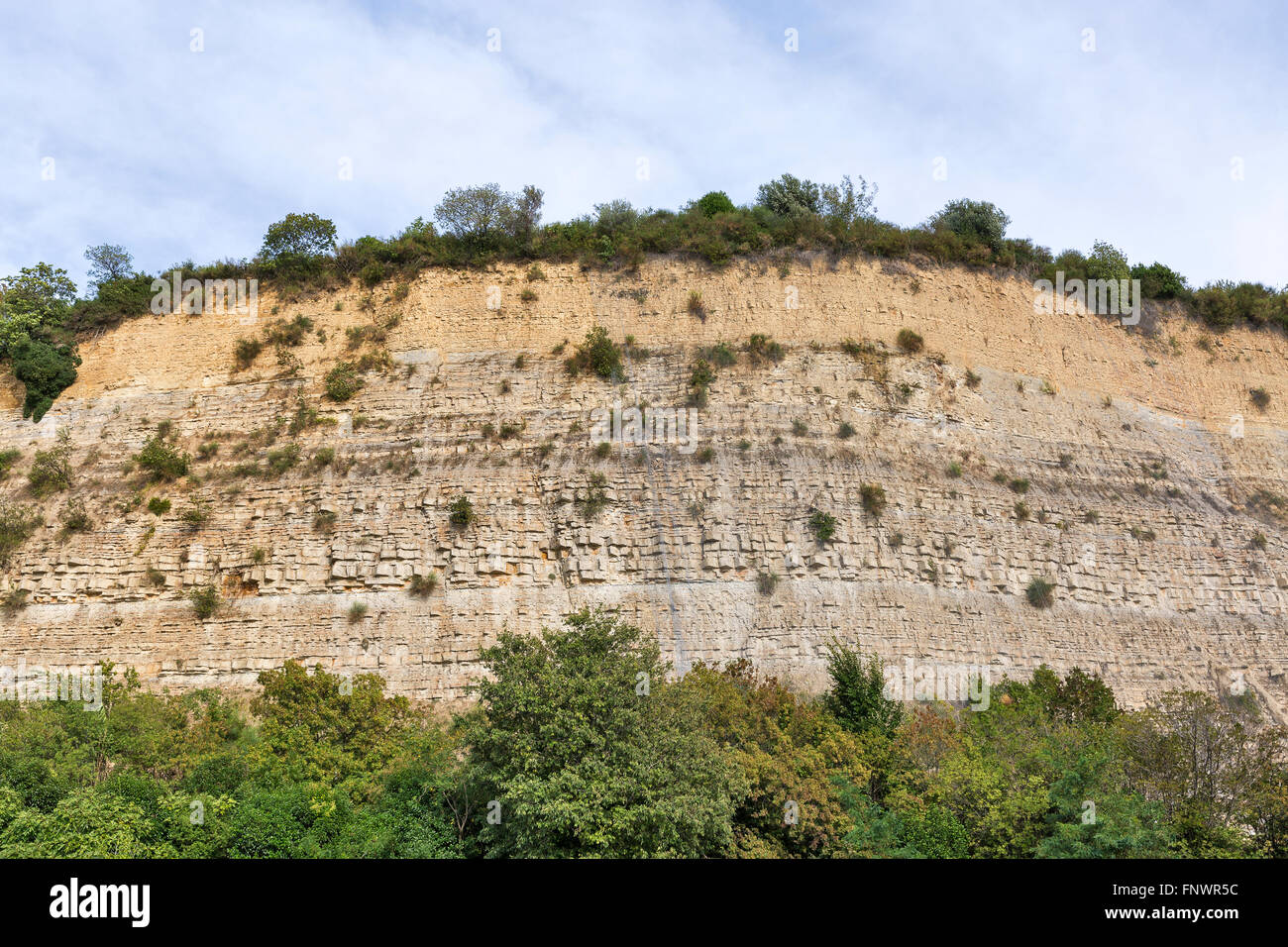 Rock wall partly covered with road protecting net near Piran, Slovenia ...