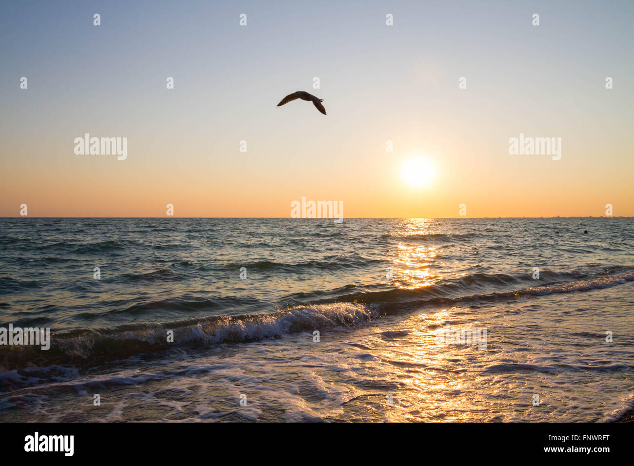 Beautiful sunset on the black sea Stock Photo - Alamy