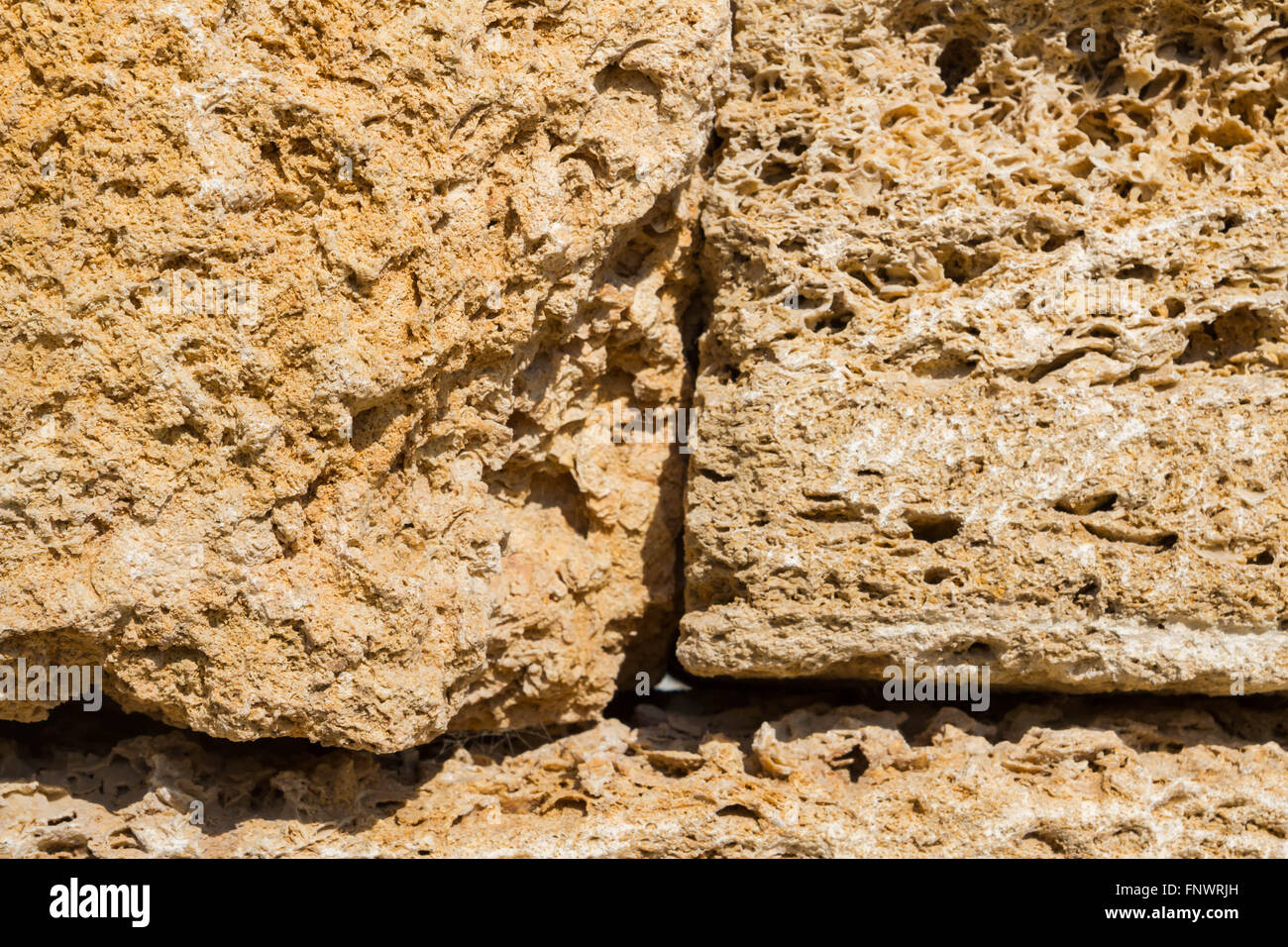 Natural material for the construction of coquina Stock Photo - Alamy