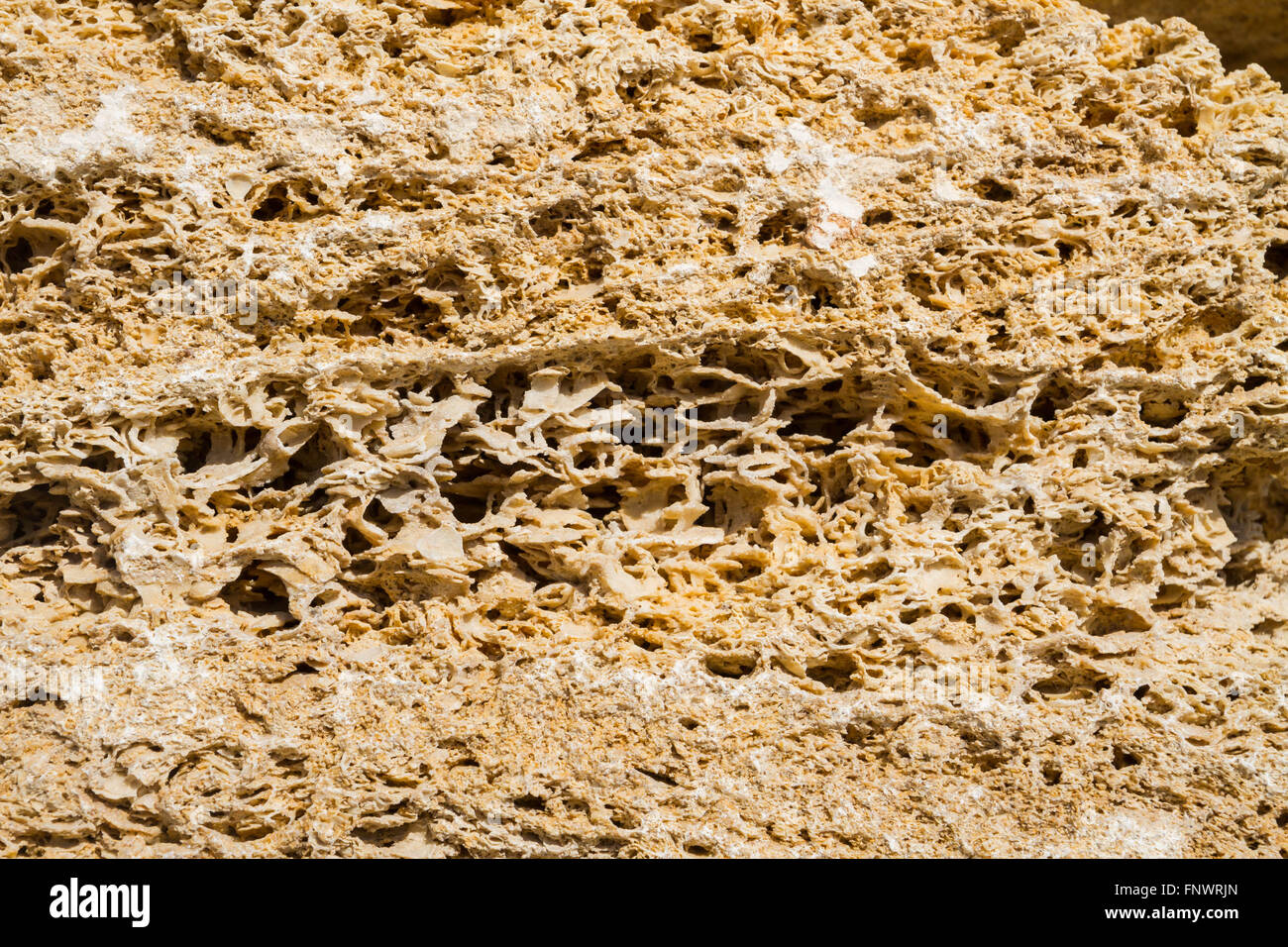 Natural material for the construction of coquina Stock Photo - Alamy