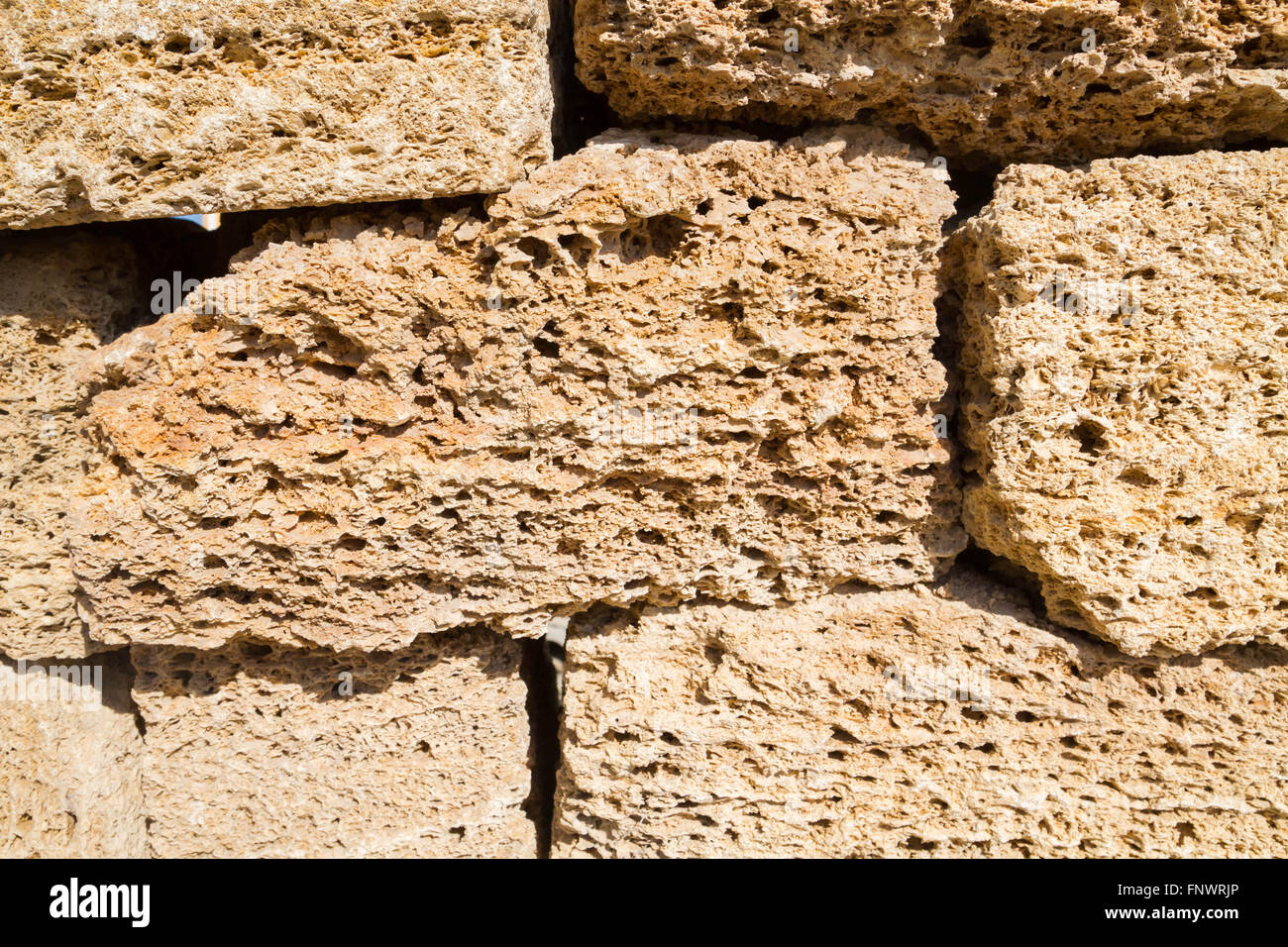 Natural material for the construction of coquina Stock Photo - Alamy