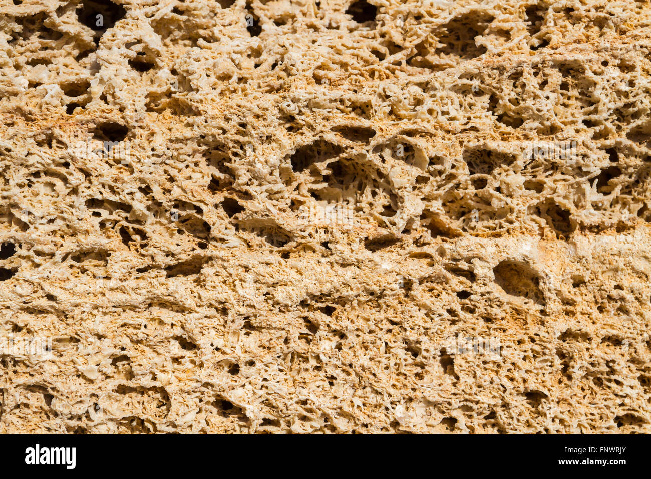 Natural material for the construction of coquina Stock Photo - Alamy
