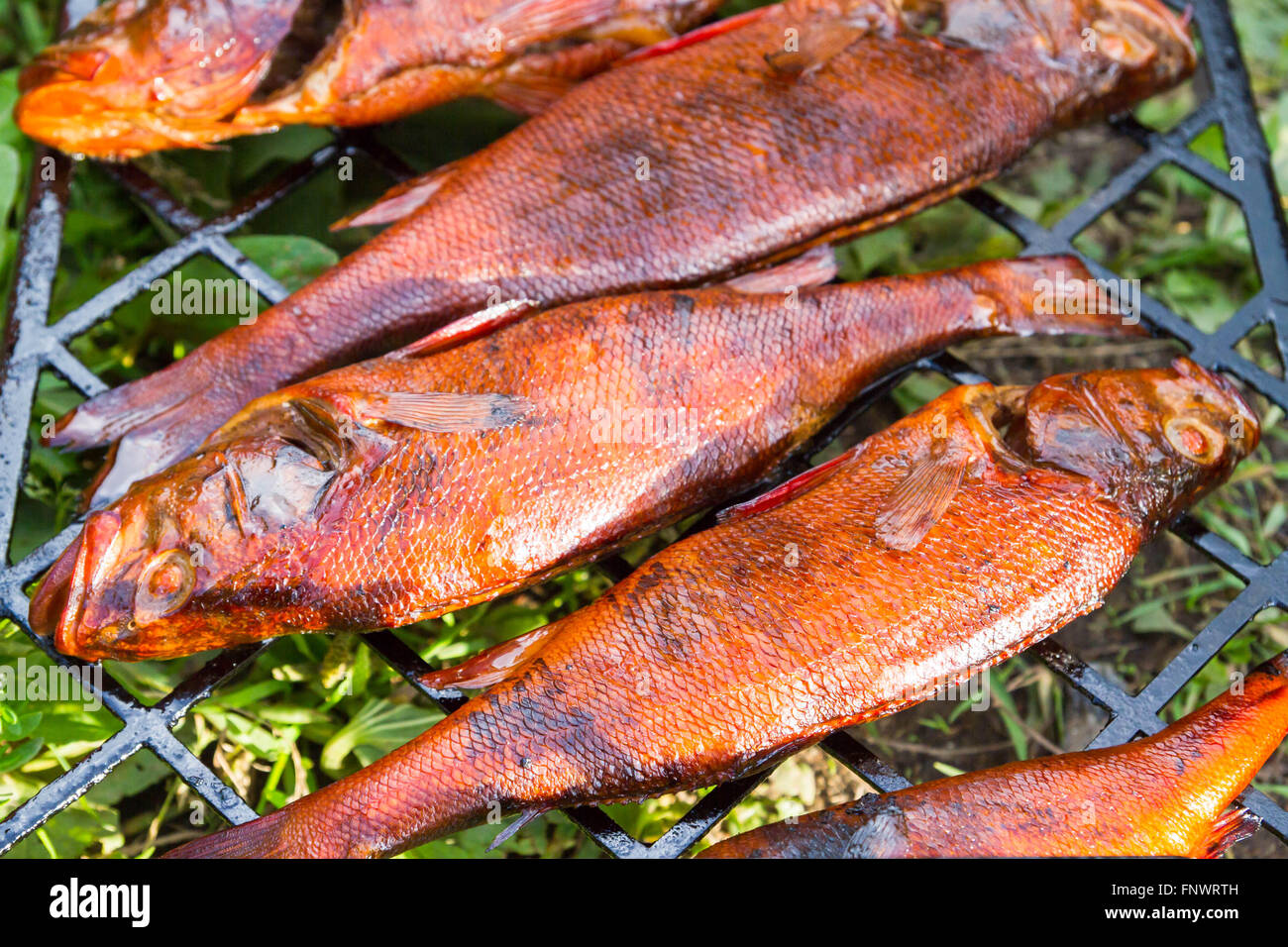 Cooked hot smoked fresh fish Stock Photo - Alamy