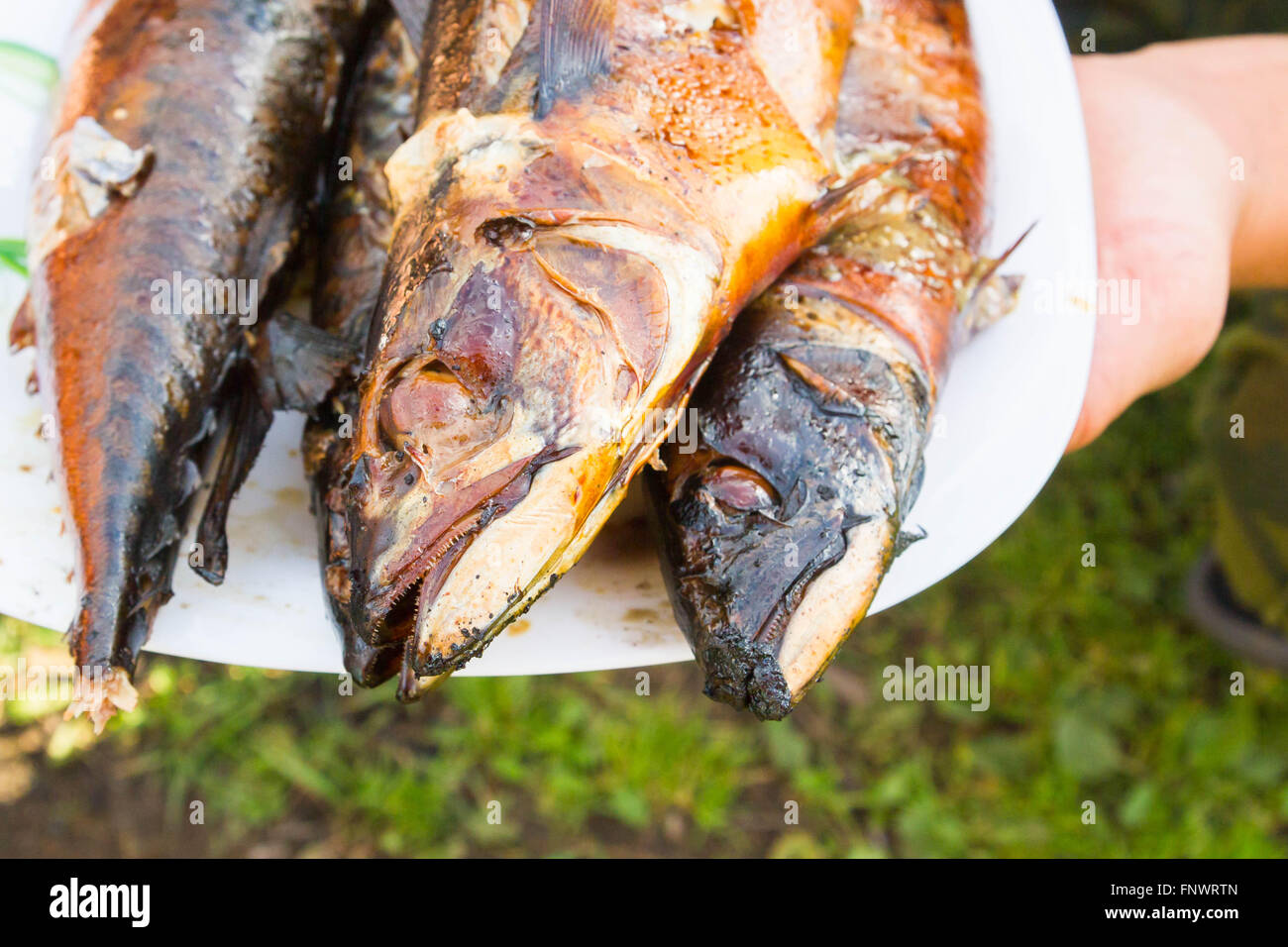 Cooked hot smoked fresh fish Stock Photo - Alamy