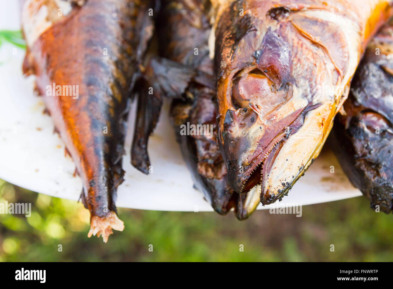 Cooked hot smoked fresh fish Stock Photo - Alamy