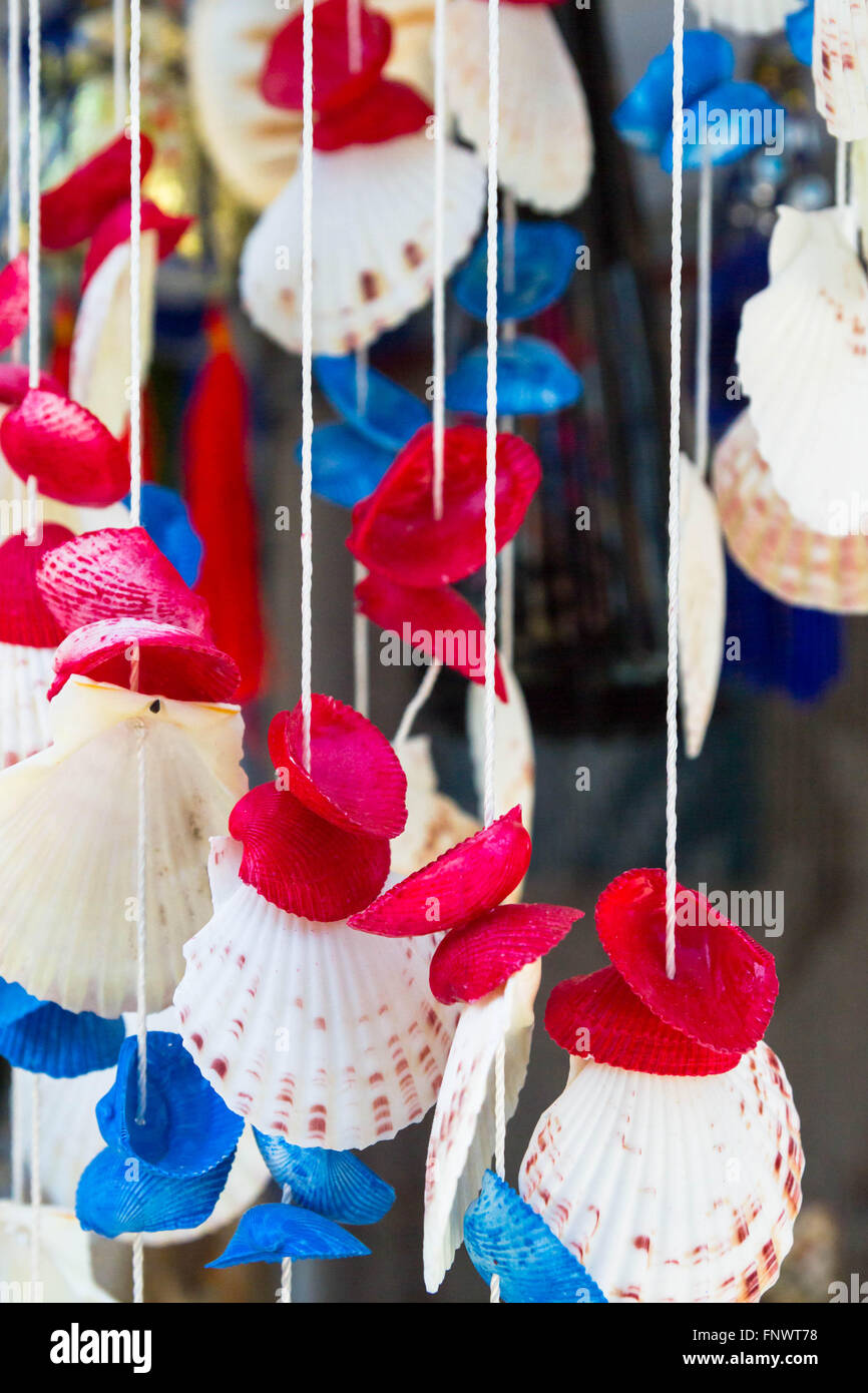 Multi colored decorative sea shells in the gift shop Stock Photo - Alamy