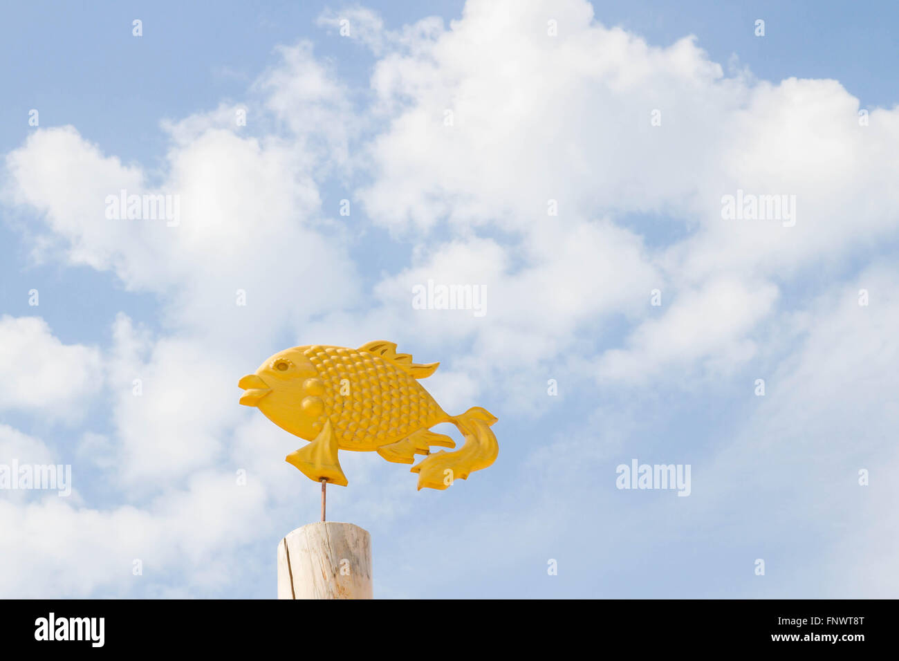 Goldfish in the sky Stock Photo - Alamy