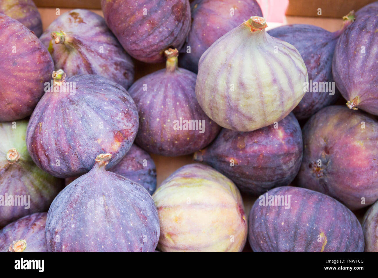 Figs for sale in a box Stock Photo - Alamy