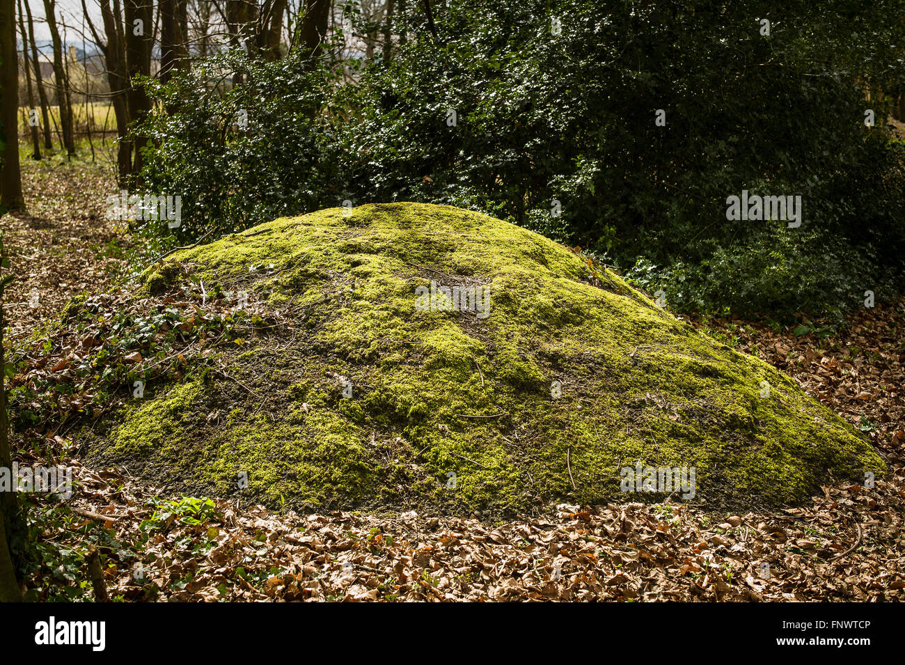 Beautiful mound hi-res stock photography and images - Alamy