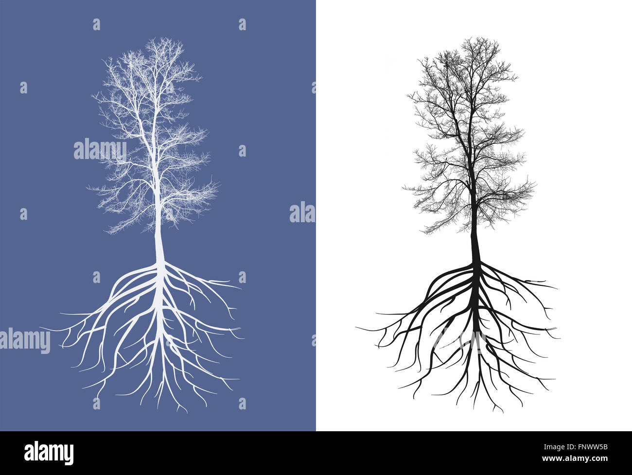 Tree without root hi-res stock photography and images - Alamy