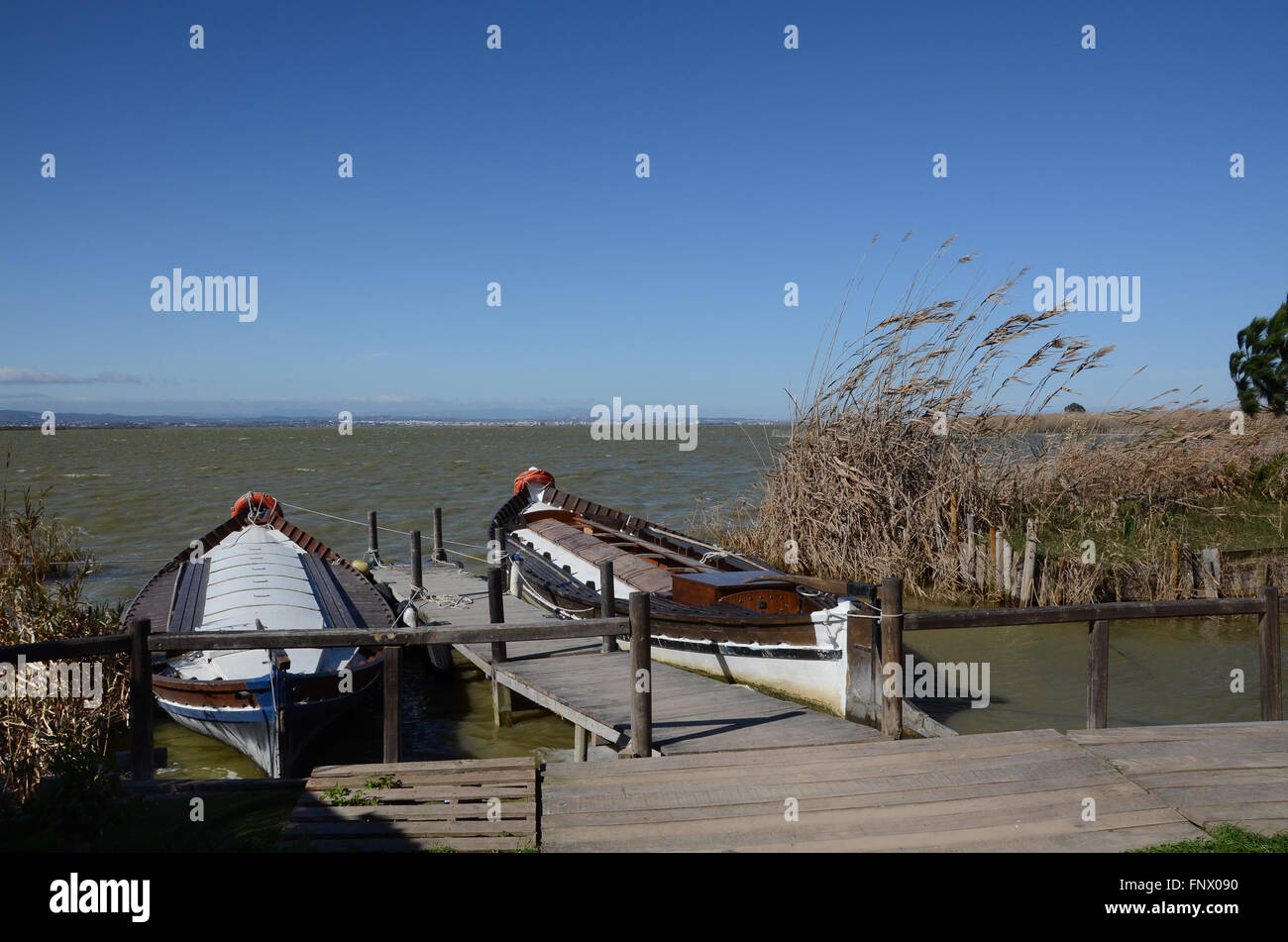 Albufera national park, Valencia, Spain, Europe Stock Photo - Alamy