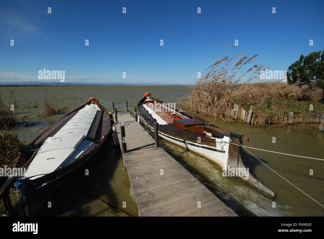 Albufera national park, Valencia, Spain, Europe Stock Photo - Alamy