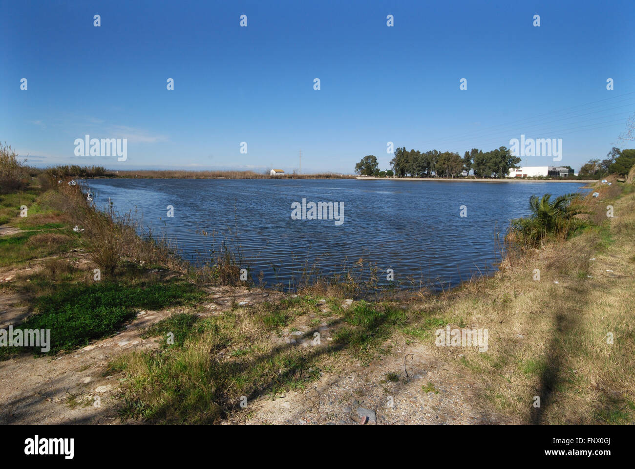 Albufera national park, Valencia, Spain, Europe Stock Photo - Alamy