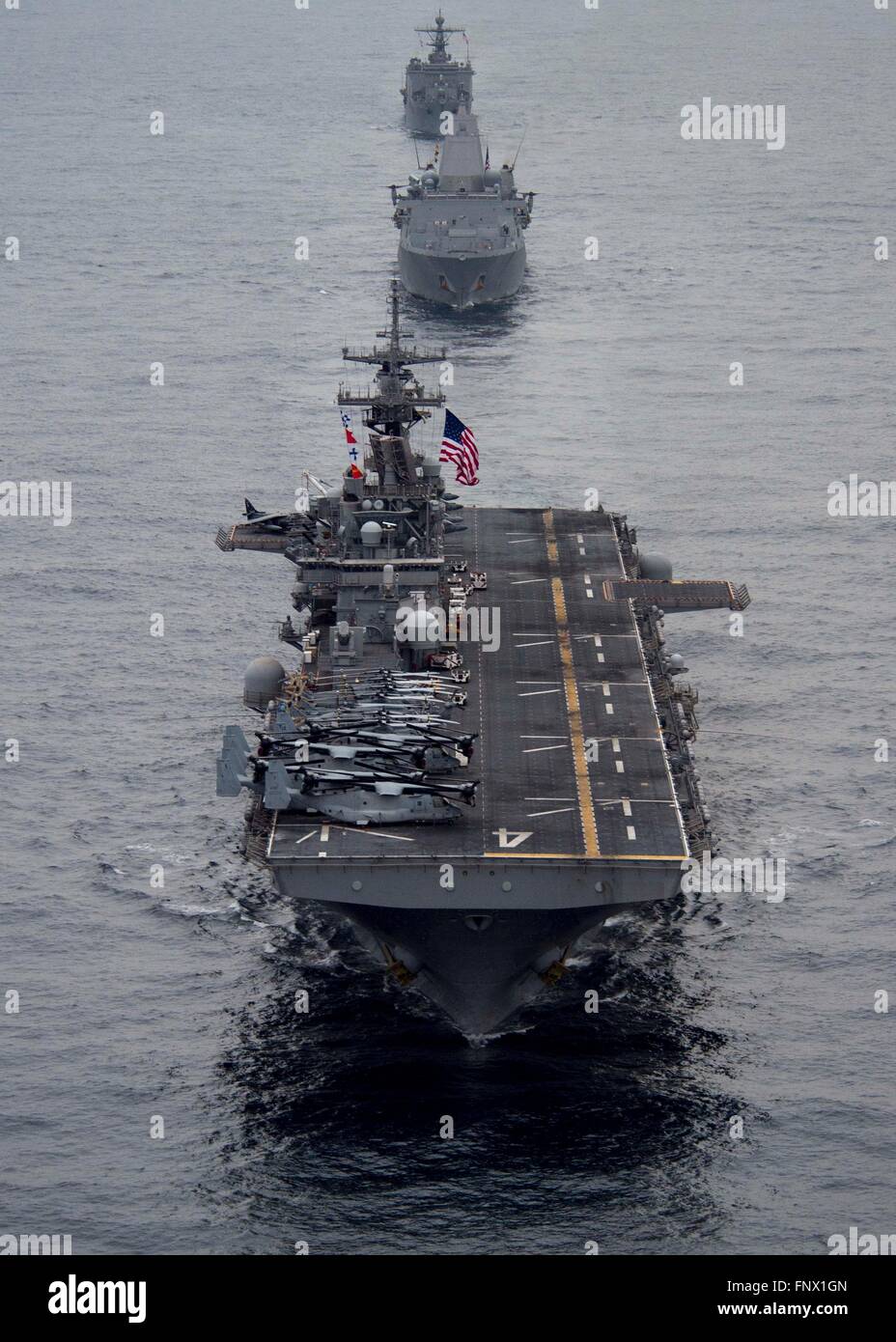 South American Boxer High Resolution Stock Photography and Images - Alamy