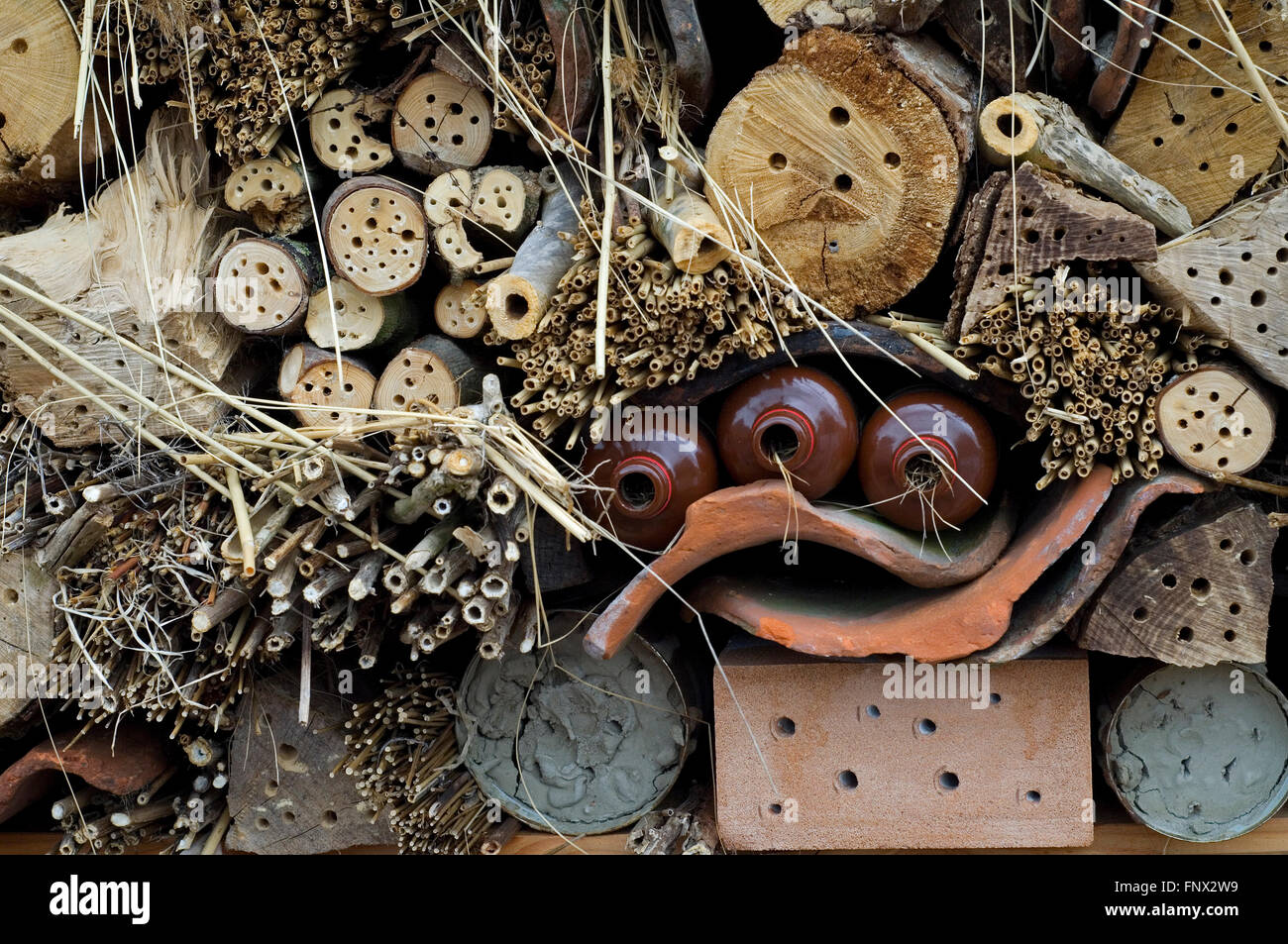 Bees and insects hi-res stock photography and images - Alamy